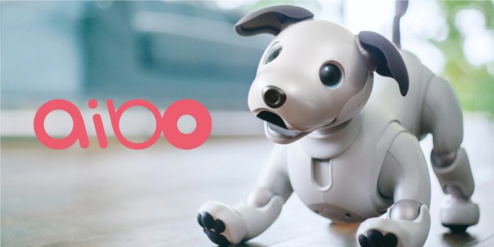 เจ้าของ AIBO รุ่นเก่าส่งสัตว์เลี้ยงไฮเทคเข้าพิธีฌาปนกิจหลายร้อยตัว ...