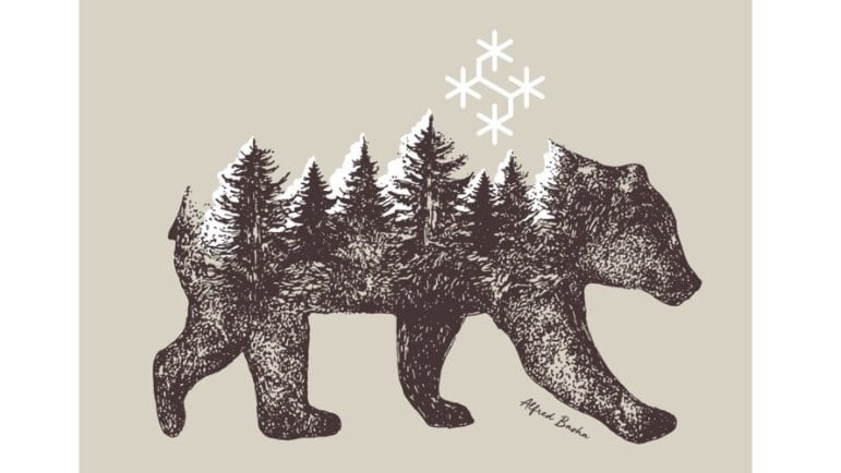 Snowy Weizen by EST.33 เบียร์หมี Grizzly กับจุดขายที่แตกต่าง | Brand Inside