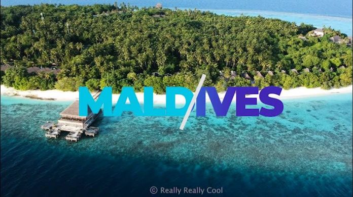 รู้จัก Really Really Cool เอเยนซี่ท่องเที่ยว บทบาทใหม่ของ "พาที สารสิน ...