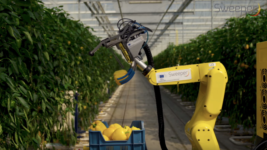 อวสานชาวสวน รู้จักหุ่นยนต์เก็บพริกหวาน ใช้เวลา 24 วินาทีต่อ 1 ผล ทำงาน ...