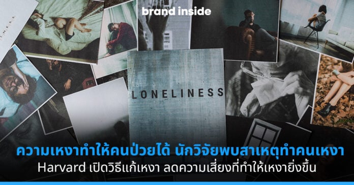 นักวิจัยฮาร์วาร์ดพบสาเหตุที่ทำให้คนเหงา พร้อมวิธีแก้เหงา