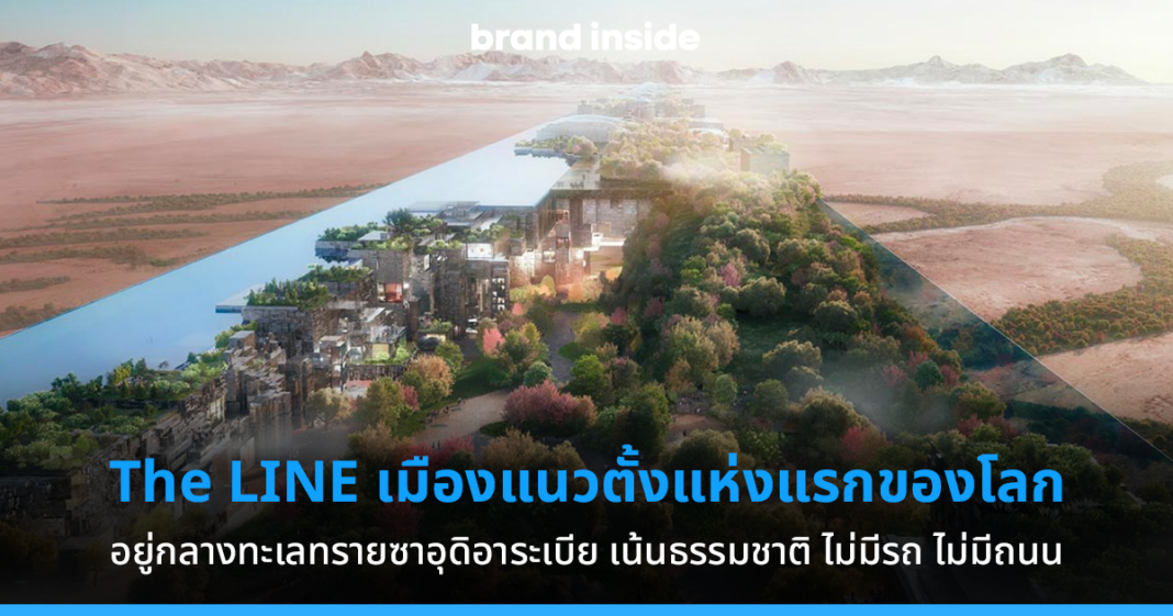 THE LINE เมืองแนวตั้งแห่งแรกของโลก กลางทะเลทราย เน้นพื้นที่สีเขียว ไม่ ...